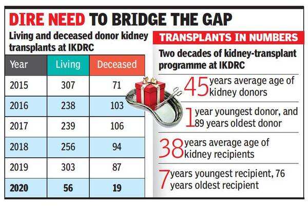 Living kidney donors still thrice cadaver numbers | Ahmedabad News ...