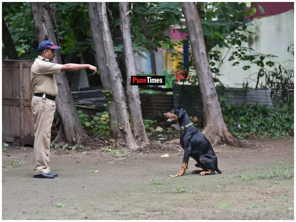 Rambo: Furry cops: Meet Pune Police’s special K9 Dog Squad that helps ...