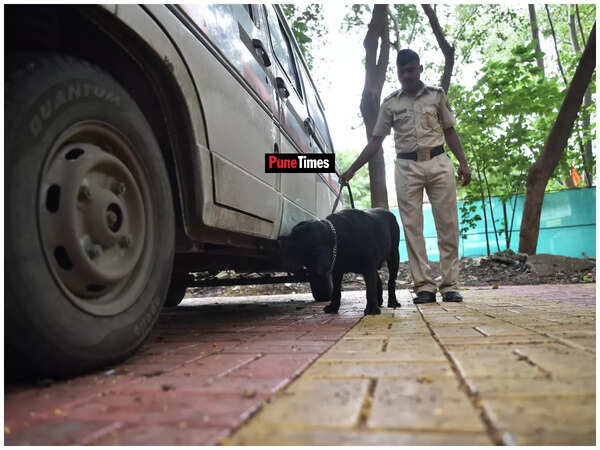 Rambo: Furry cops: Meet Pune Police’s special K9 Dog Squad that helps ...