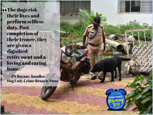 Rambo: Furry cops: Meet Pune Police’s special K9 Dog Squad that helps ...