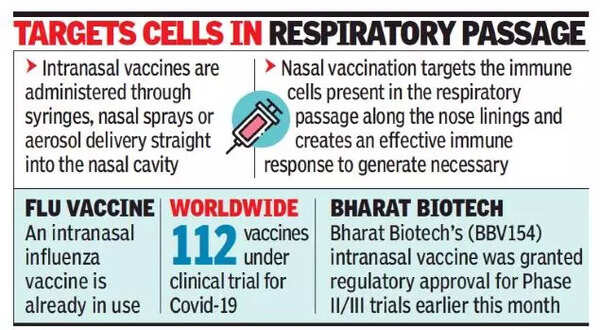 Oxford university starts human trials for intranasal AstraZeneca vax ...