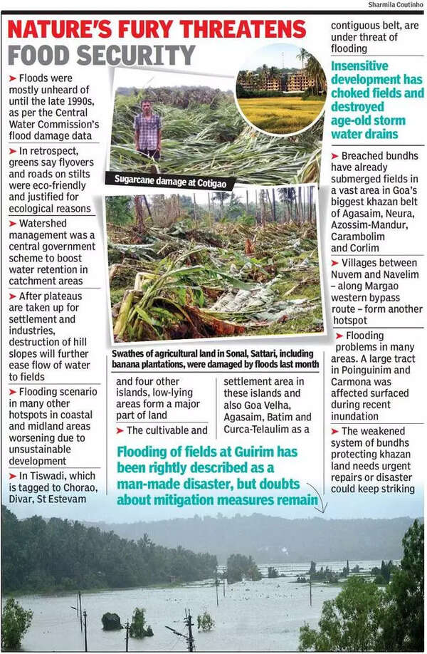 Climate change a death knell for Goa’s agriculture, food security | Goa ...