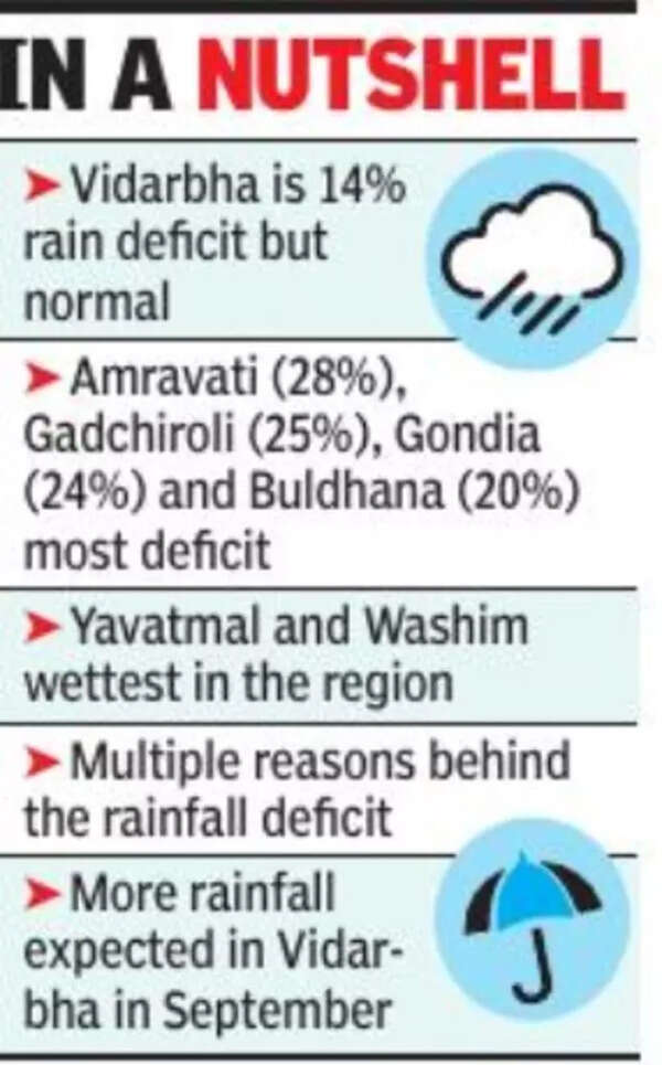 Rainfall in Vidarbha 14% deficit, but September looks ‘good’ | Nagpur News - Times of India
