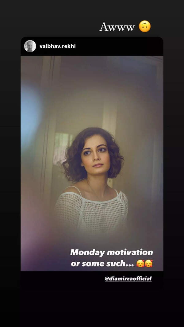 Vaibhav Rekhi showers love on wifey Dia Mirza; calls her 'Monday ...