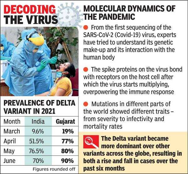 Delta: Delta variant mutation holds key to understanding future of ...