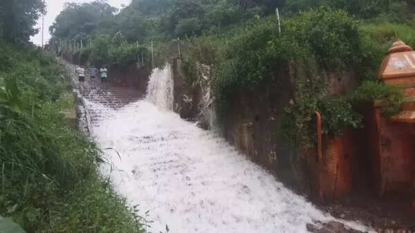Andhra Pradesh Rains: Three killed as cyclone Gulab clobbers coastal ...