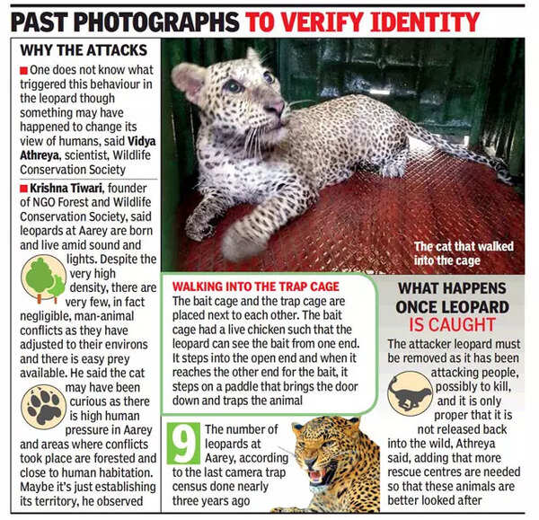 Cages To Capture Wild Animals Popular | www.oceanproperty.co.th