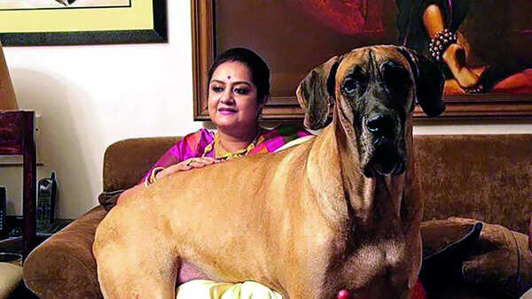 Celebrities come up with pawsome Puja gift ideas for their fur buddies ...