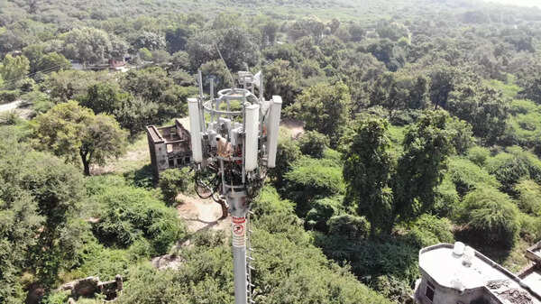 Rajasthan: Monkey stuck on mobile tower for over a week rescued in ...