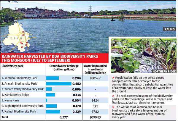 Delhi: Biodiversity parks make most of monsoon, harvest 1.4mn gallons ...