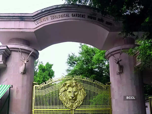 Lucknow Zoo, the century old hangout of the city | Lucknow News - Times ...