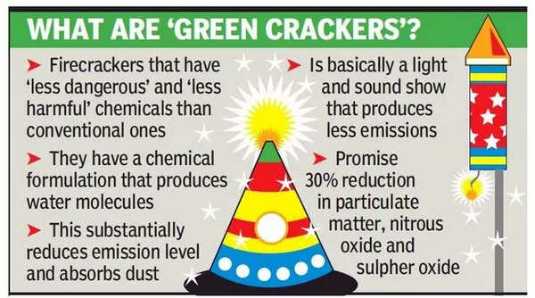 Madhya Pradesh: Cracker of an eco-friendly Diwali this year | Bhopal ...