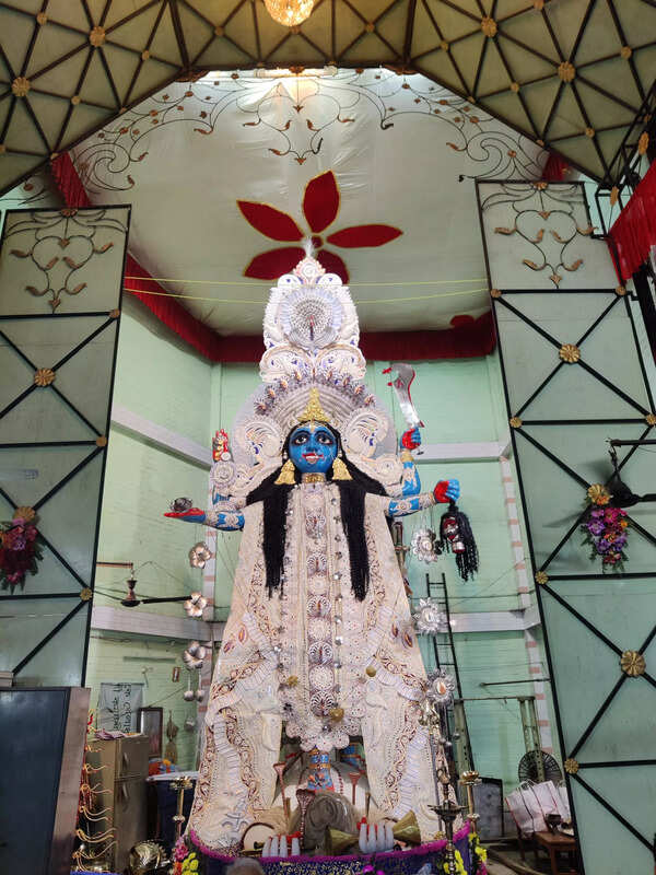 Kali: With pandemic as popular theme, city Kali Pujas celebrate the ...