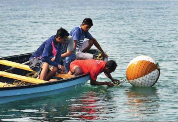 Mumbai: Worli fishermen buoy up stir against coastal road bridge ...