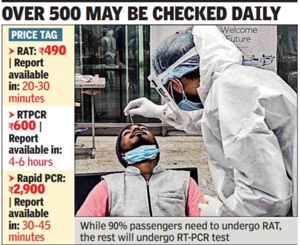 Rat: Airport Orders Rat Kits In Bulk To Test Int’l Flyers | Kolkata ...