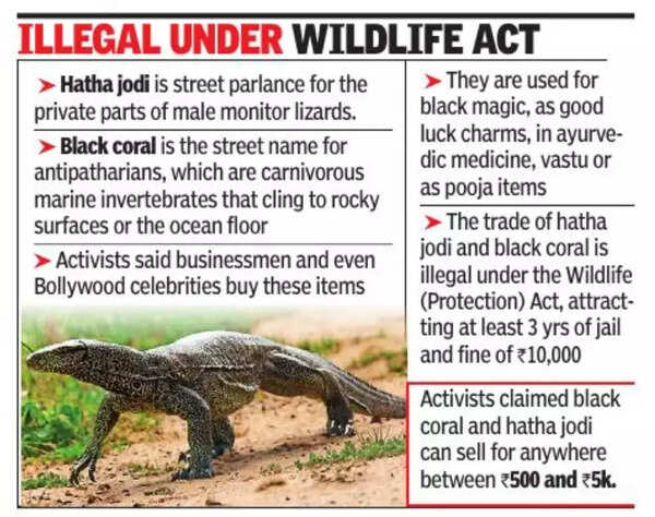 Thane: Keeping animal parts will give offenders 3 years’ ‘good luck’ in ...