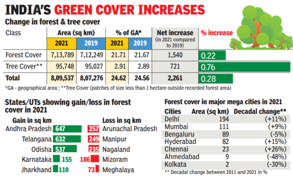 India’s green cover rises, touches nearly one-fourth of geographical area: Report | India News ...