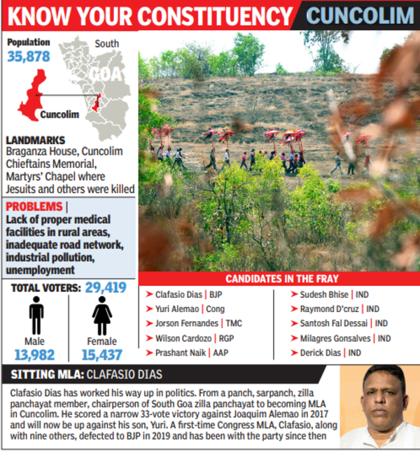 Goa election: Alemaos try to brush off outsider tag from opponents in ...