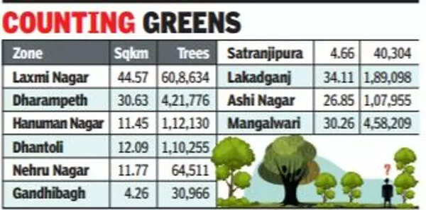 Nagpur lost three trees everyday in last 10 yrs, 3.8 lakh saplings ...