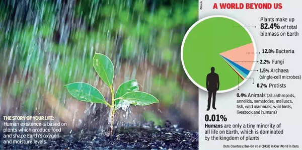 ‘Without plants, there can be no other stories on Earth — marvels of ...