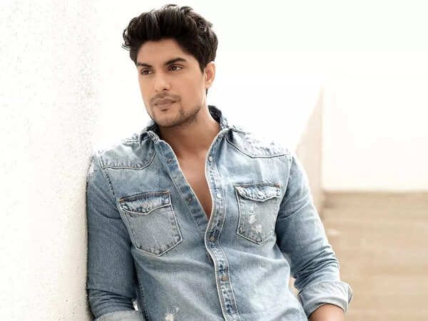 Exclusive - Udaariyaan's Ankit Gupta on doing love making scenes: I've ...