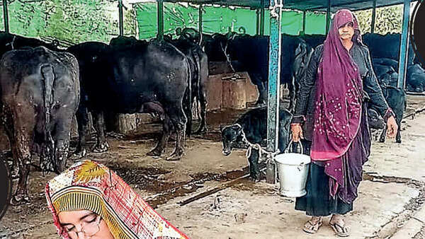 Gujarat: Meet the millionaire milkmaids | Ahmedabad News - The Times of India