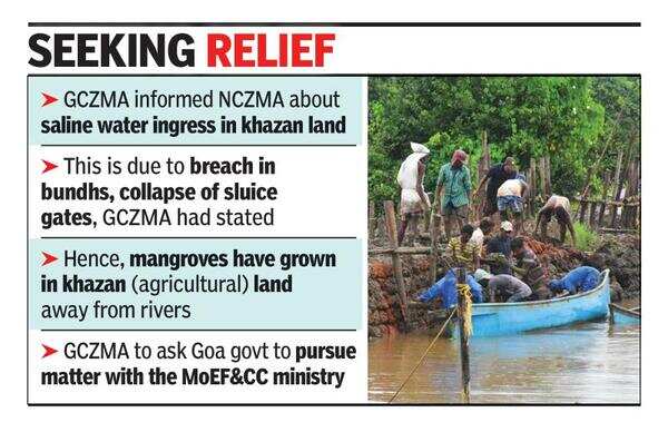 Coastal plan: Goa to ask Centre to relax buffer for mangroves | Goa ...