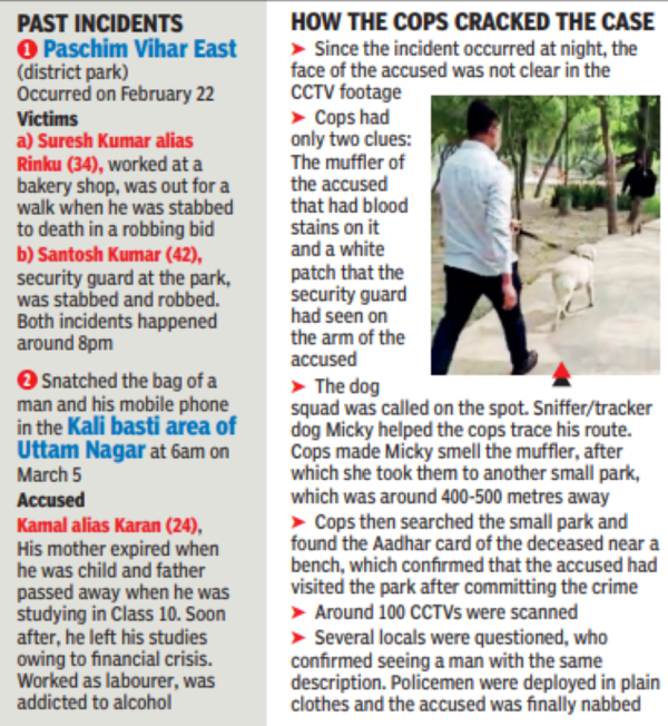 Tracker dog takes Delhi police closer to ‘mystery’ man | Delhi News ...