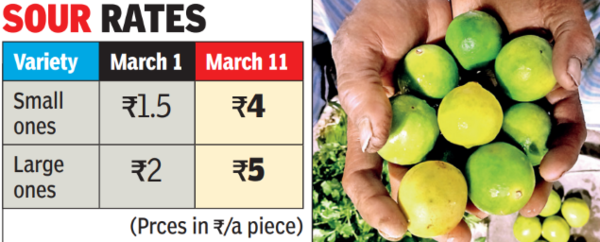 Poor Supply Doubles Lemon Prices | Kolkata News - Times of India