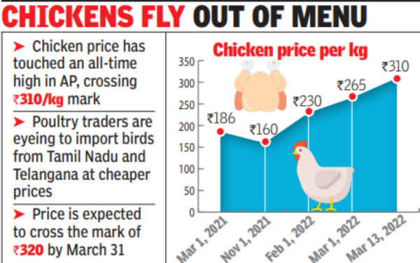 Chicken Prices Soar On Drop In Production | Vijayawada News - Times of ...