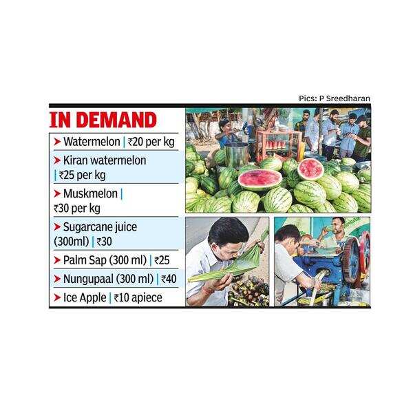Rising Mercury Levels Push Up Melon, Palm Sap Sales | Coimbatore News ...