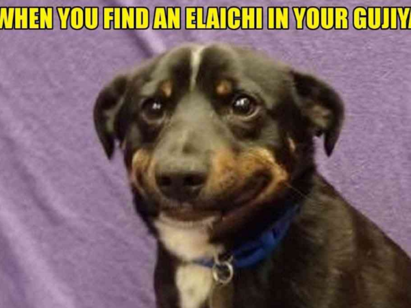 Holi Memes, Messages, Wishes, Images & Status | Happy Holi 2023: These ...