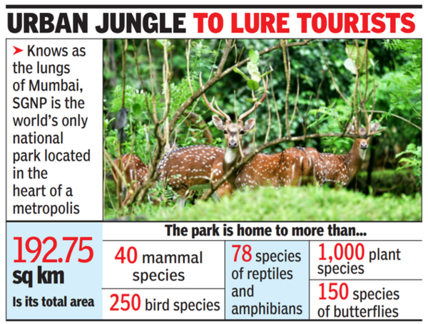 Black Leopard, White Lion In Sgnp ₹400cr Revamp Plan | Mumbai News ...