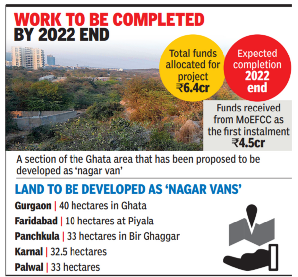 Ghata: City’s First ‘nagar Van’ To Come Up At Ghata | Gurgaon News ...