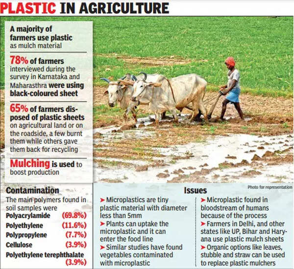 Why there may be plastic in your food: Study finds mulch sheets ...