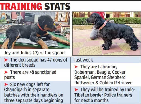 Six Kol Police Dogs Head To Chandigarh For Skill Upgrade | Kolkata News ...