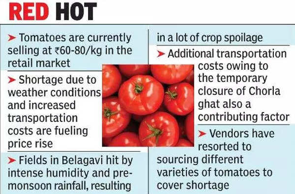 Goa: Tomatoes get pricey, selling at nearly Rs 80/kg | Goa News - Times ...