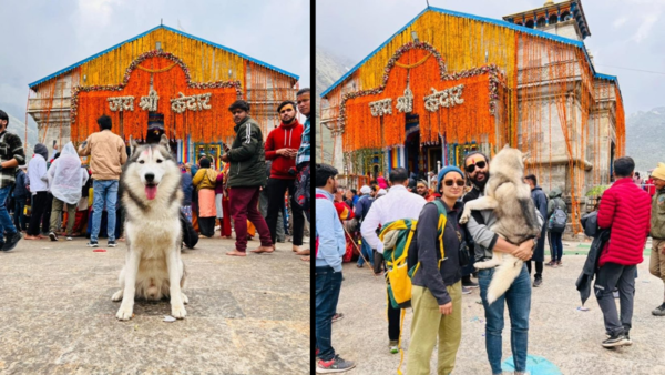 Temple body files complaint against Noida vlogger who took his pet dog ...