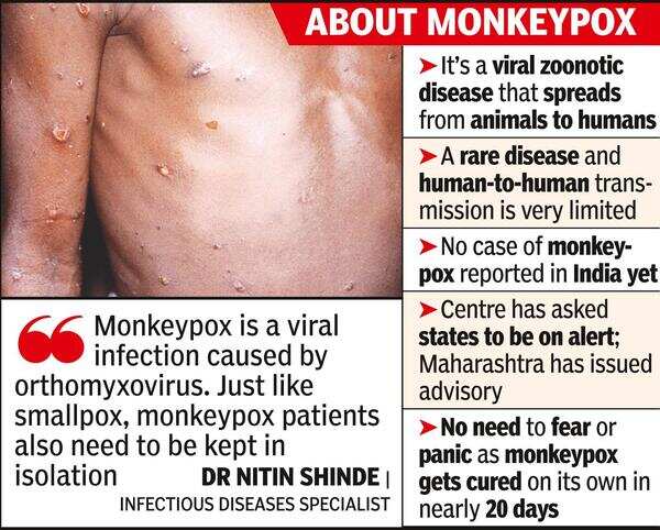 State To Follow Guidelines On Monkeypox: Health Min | - Times of India