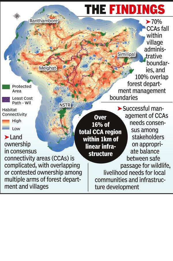 Central India: Scientists Form Consensus On Tiger Corridors In Central ...