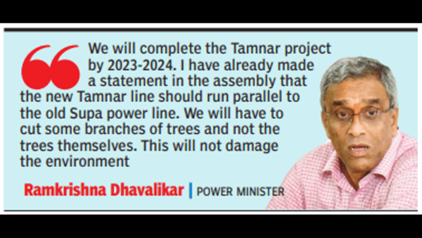 Dhavalikar: Centre wants Tamnar power line ready by year-end ...