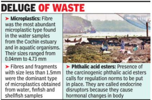 Sundara Theeram: Estuary High On Plastic Trash: Study | Kochi News ...