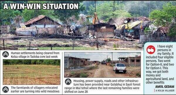 Maharashtra: A day after exit of Kolsa villagers, wildlife enters area ...