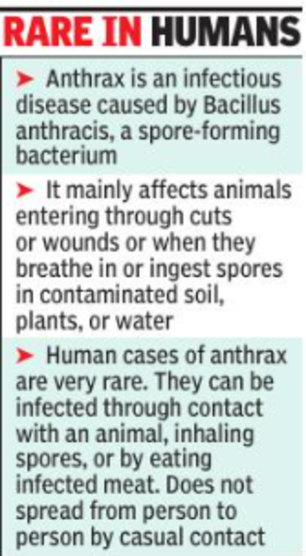 Anthrax Alert Near Athirappilly | Kochi News - Times of India