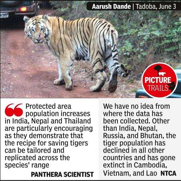 Global Tiger Numbers Rise To 4,500 In Last 7 Years: Report | - Times of ...