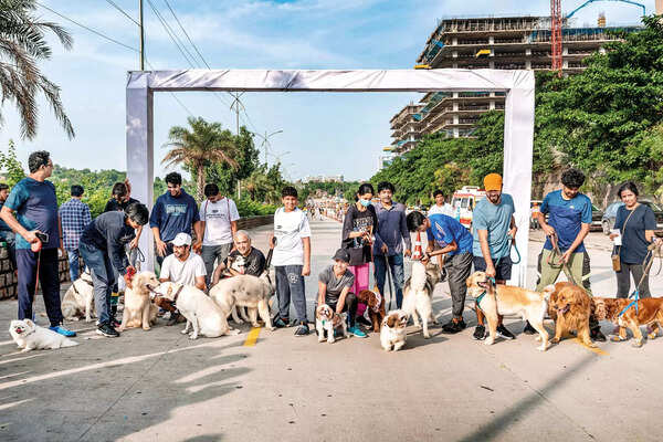 Hyderabadis run with their furry friends at a first-of-its-kind ...