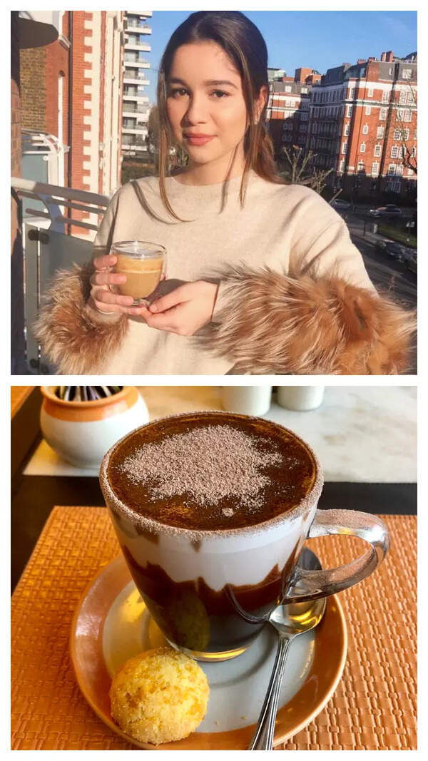 Cleanfix-Schevaran inaugurates Rs 110 cr unit in Mysuru - Times of India