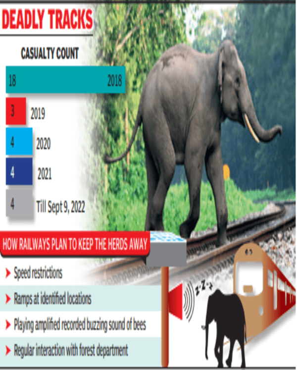 Speeding Train Kills Jumbo In Hojai’s Elephant Corridor | Guwahati News ...