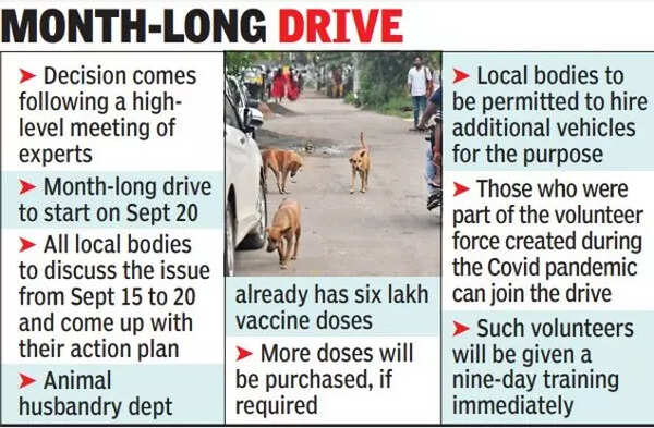 Kerala govt to vaccinate stray dogs on war footing, says minister M B ...