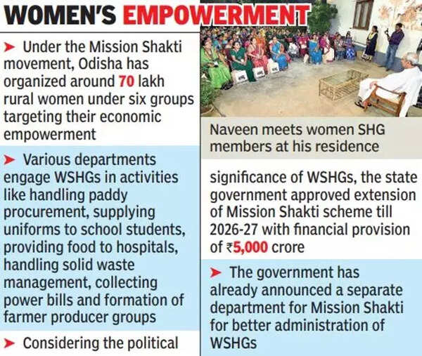 Shg: Govt Banking On Shg Support To Score Big In 2024 Elections ...